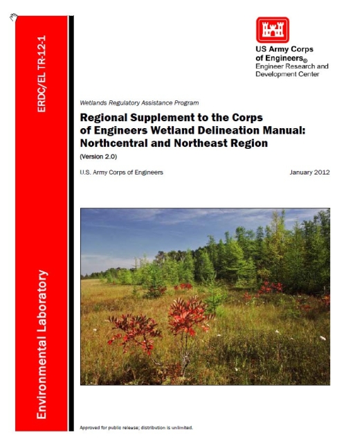 2019 Advanced Wetland Delineation - Michigan Wetlands