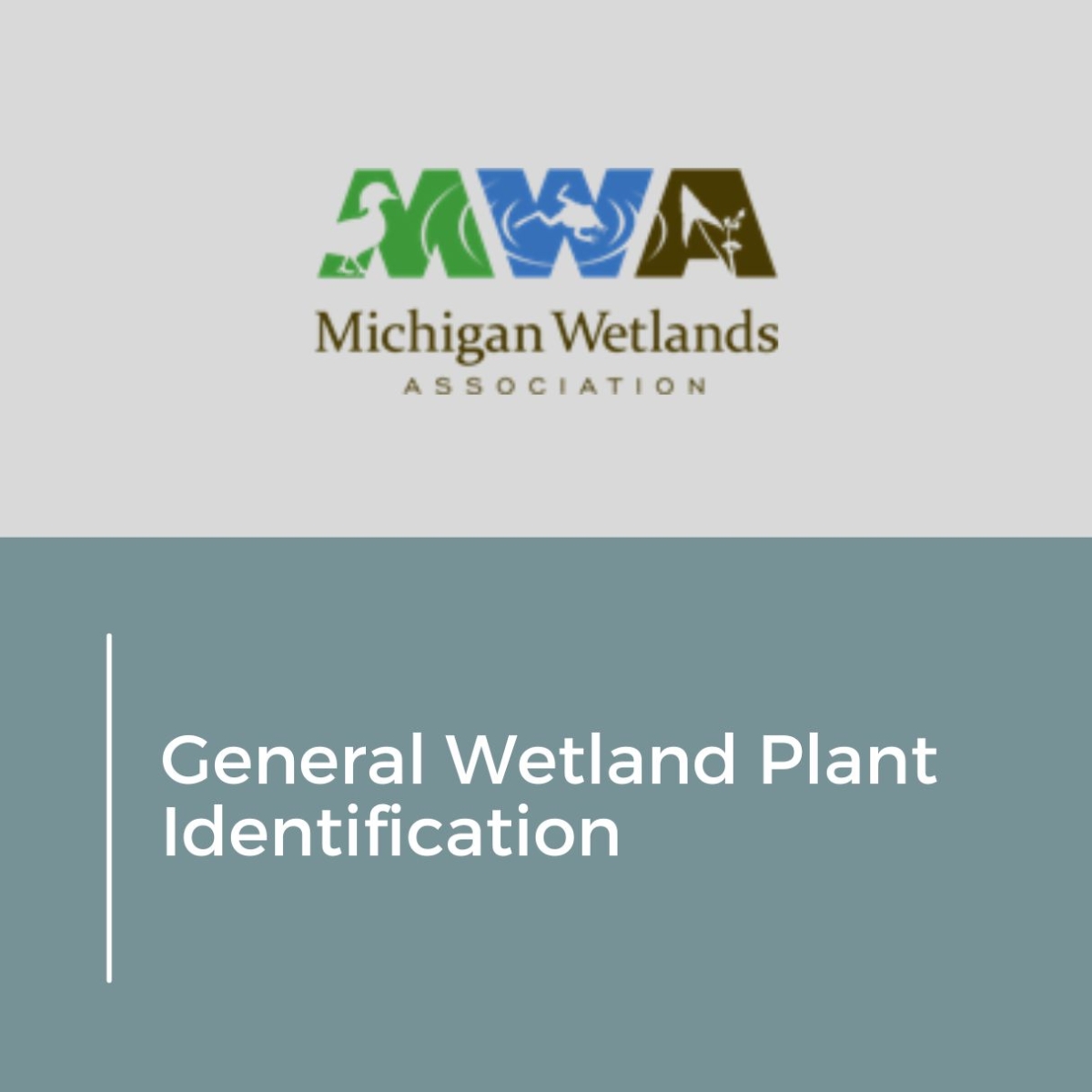Shop - Michigan Wetlands